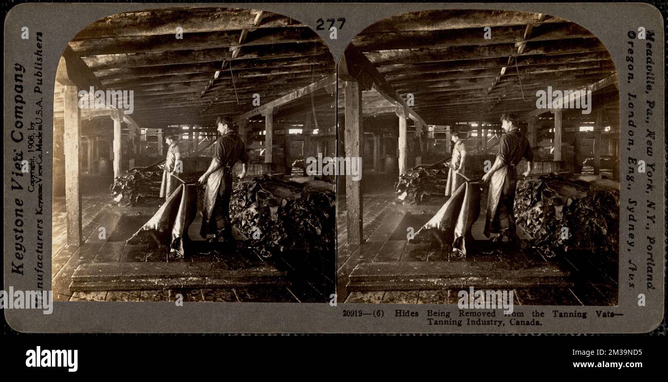 Leatherworking process hi-res stock photography and images - Alamy