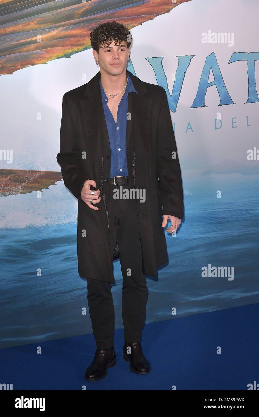 Rome, Italien. 13th Dec, 2022. Guest attends the Italian premiere of ...