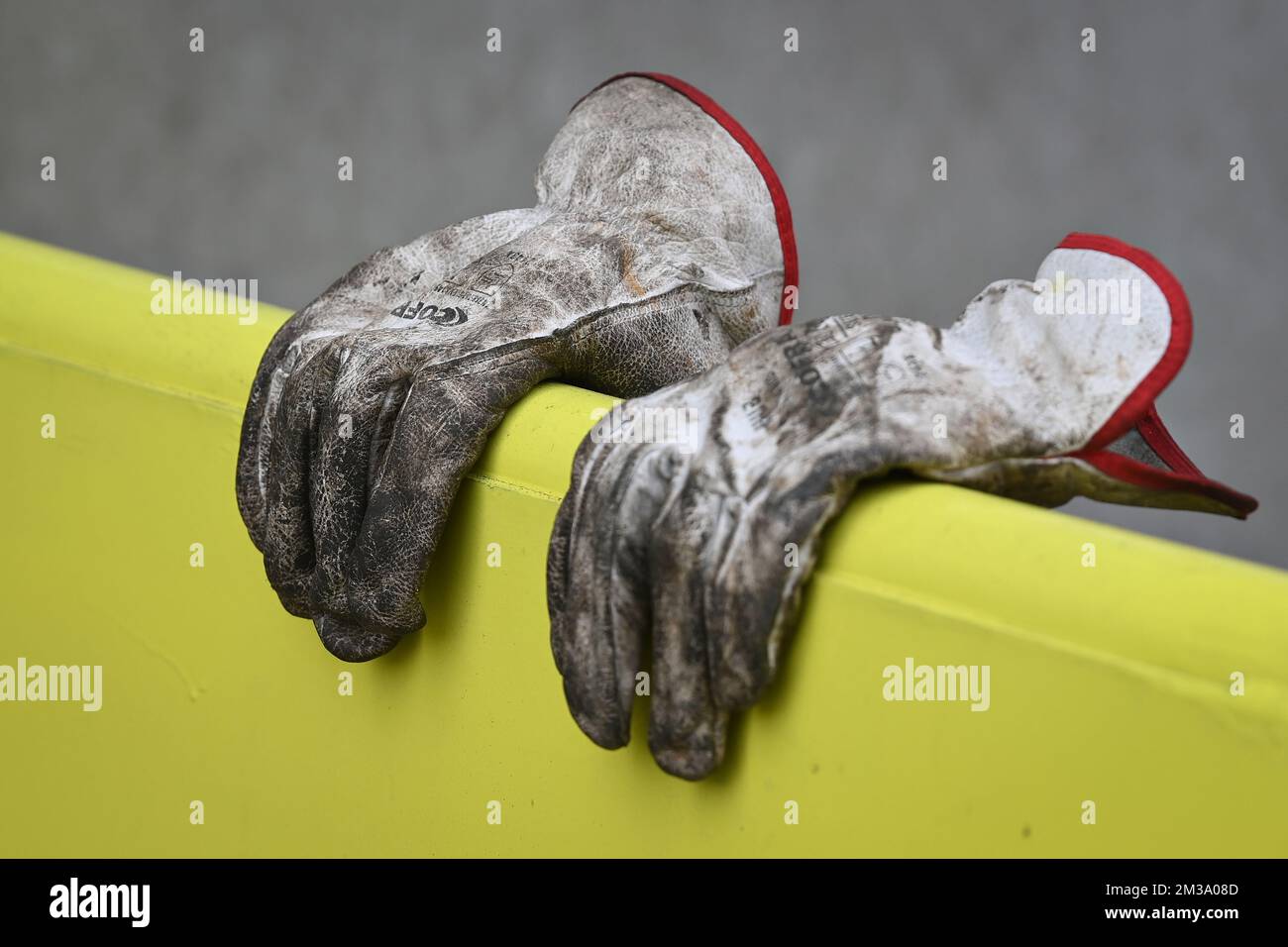 Illustration picture shows gloves at Val'Up, a new sorting center for ...
