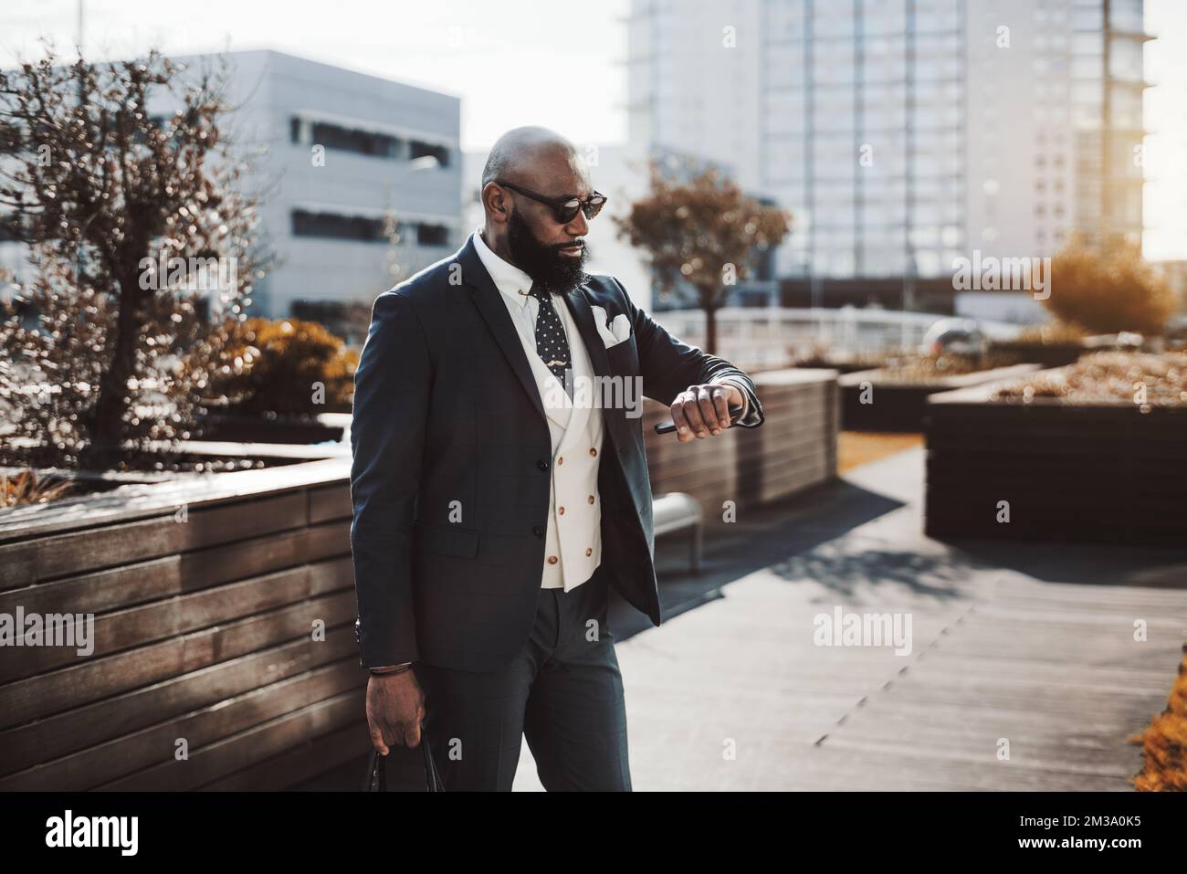 An elegant African executive male standing in an outdoor park, dressed ...