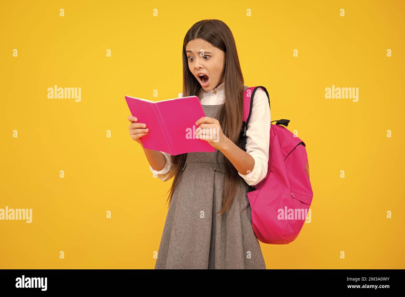 school teenage girl with book and copybook. Teenager schoolgirl student ...
