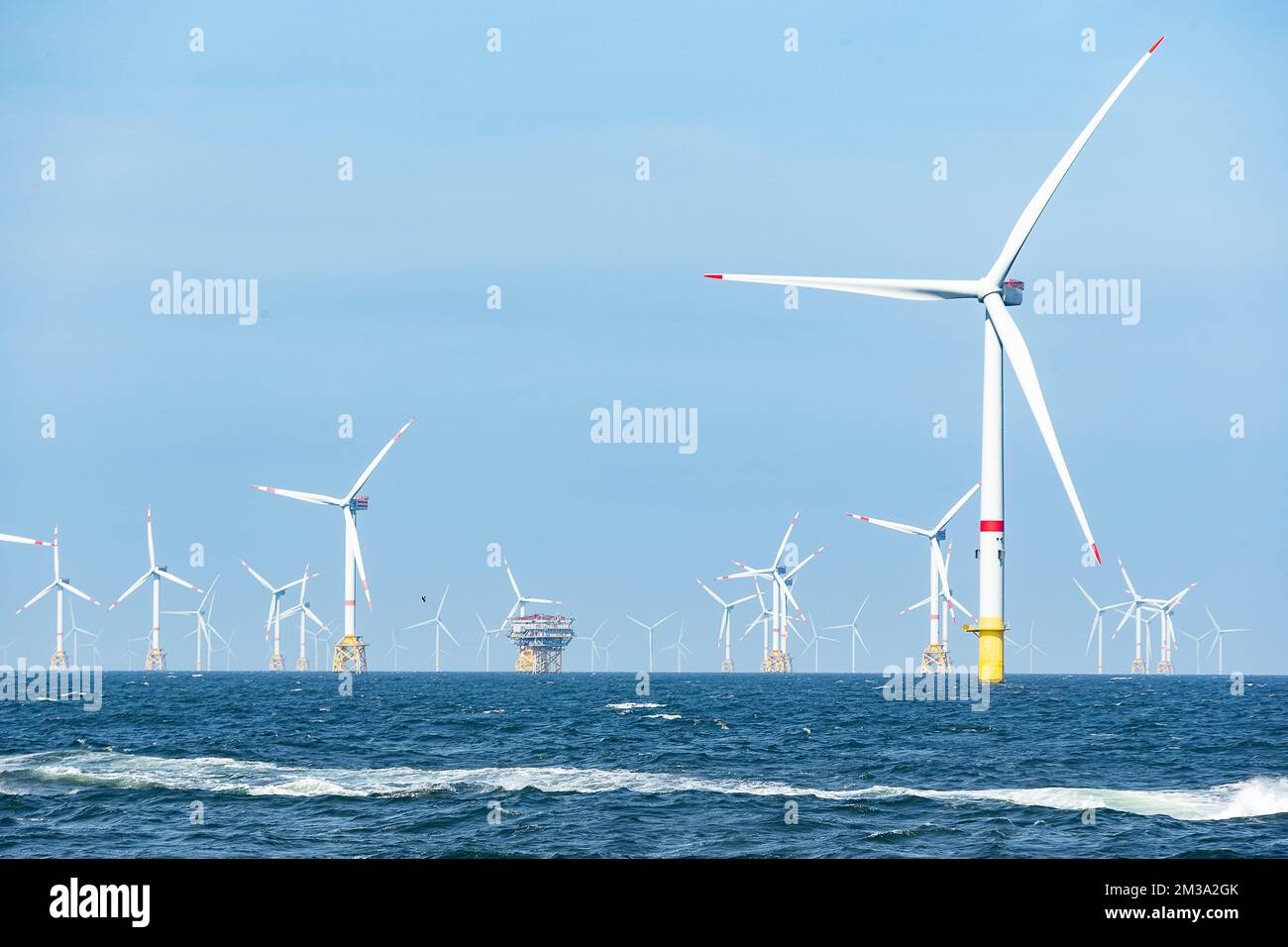 Illustration picture shows a working visit to the offshore wind farms in the Belgian North Sea ...