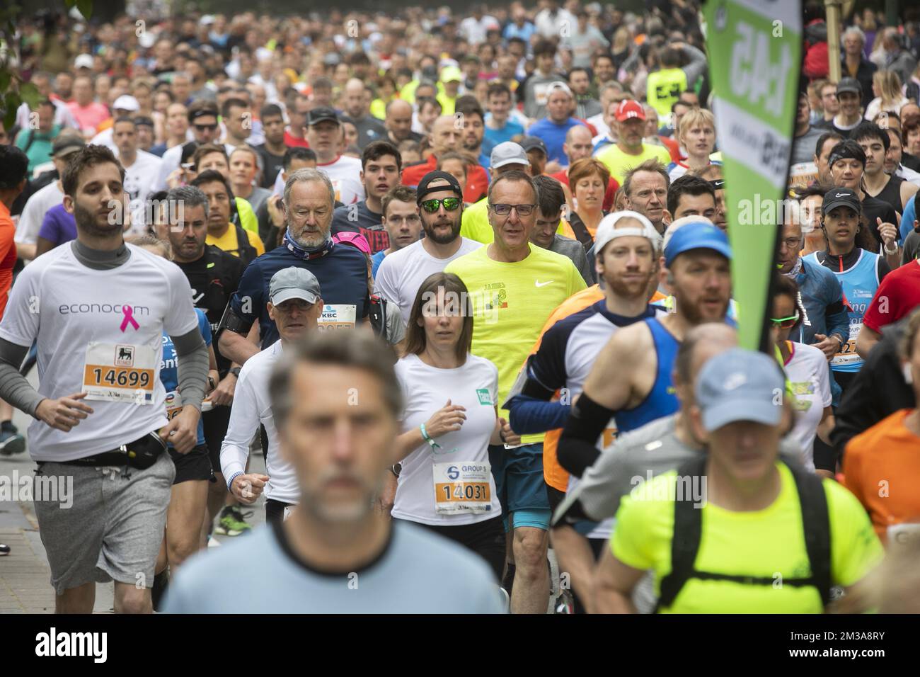 Illustration picture shows the 42nd edition of the Brussels' 20km run ...