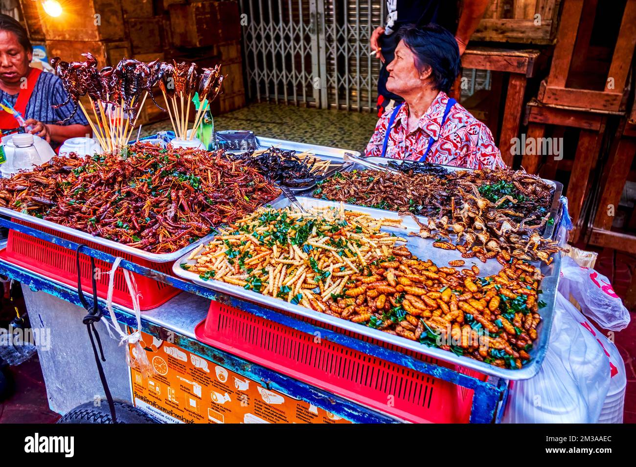 Extreme snacks of Thailand, scorpions and cicadas on sticks, grilled ...