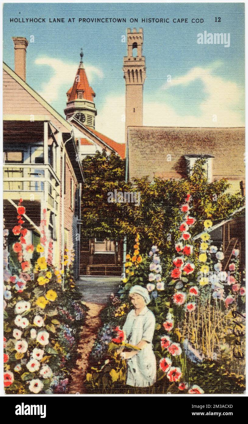 Hollyhock Lane at Provincetown on historic Cape Cod , Towers, Houses ...