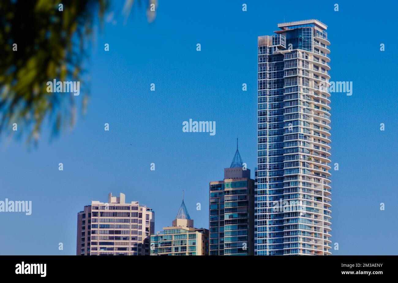 view of several buildings of different heights and trees ahead Stock ...