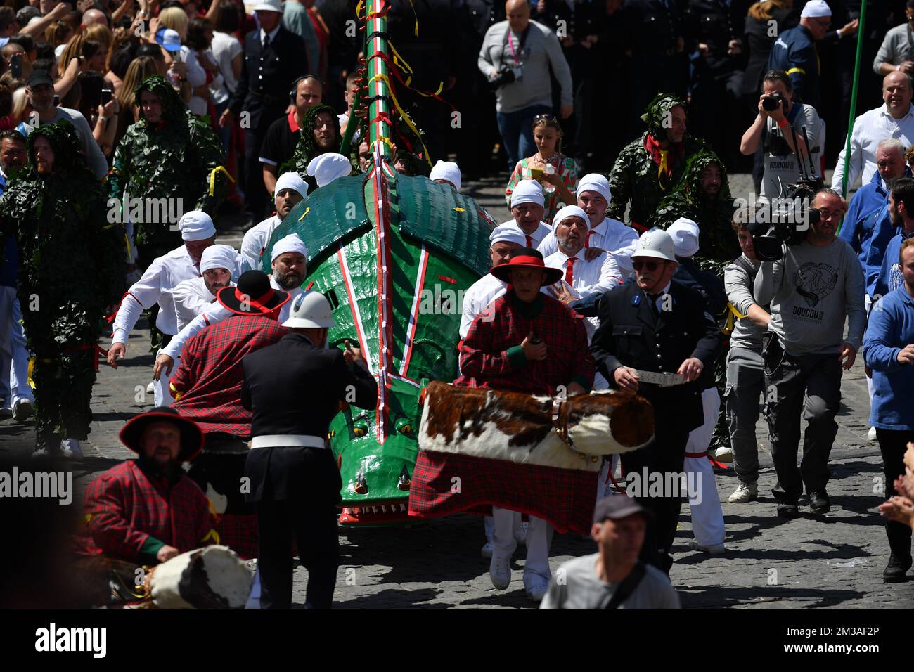 Illustration shows the Ducasse - Doudou folkloric festival in Mons ...