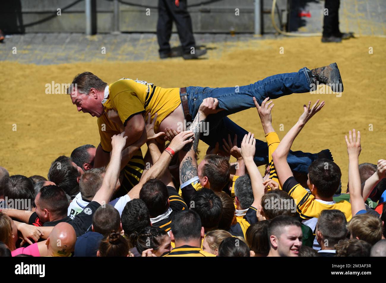 Illustration shows the Ducasse - Doudou folkloric festival in Mons ...