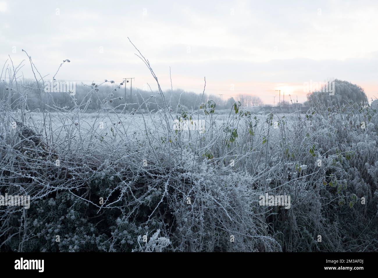 Winter day with frost frosted landscape - flat fields eastern England ...