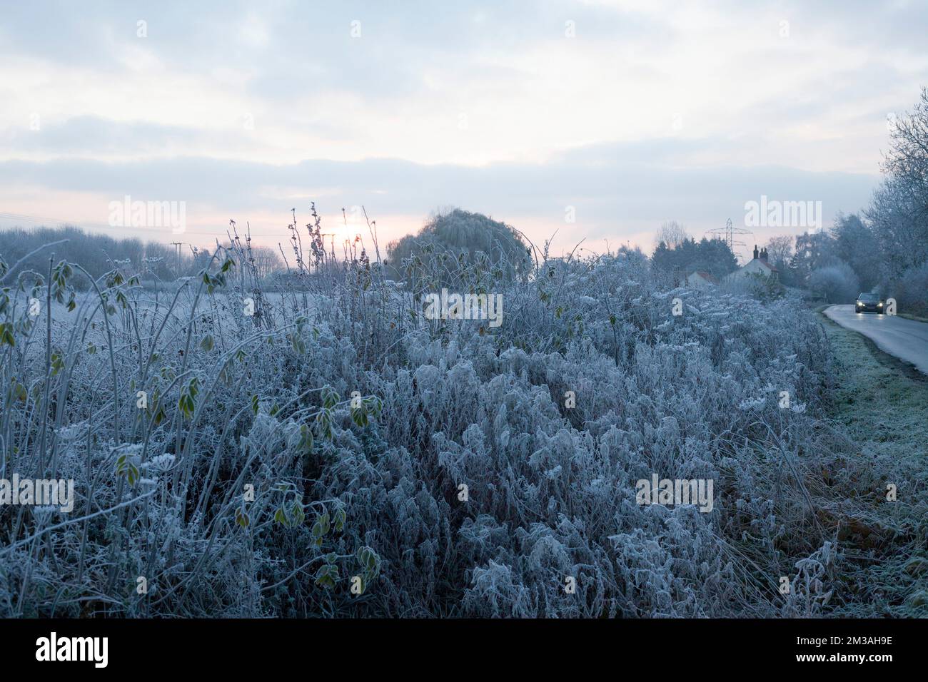 Winter day on country lane with frost frosted landscape flat fields ...