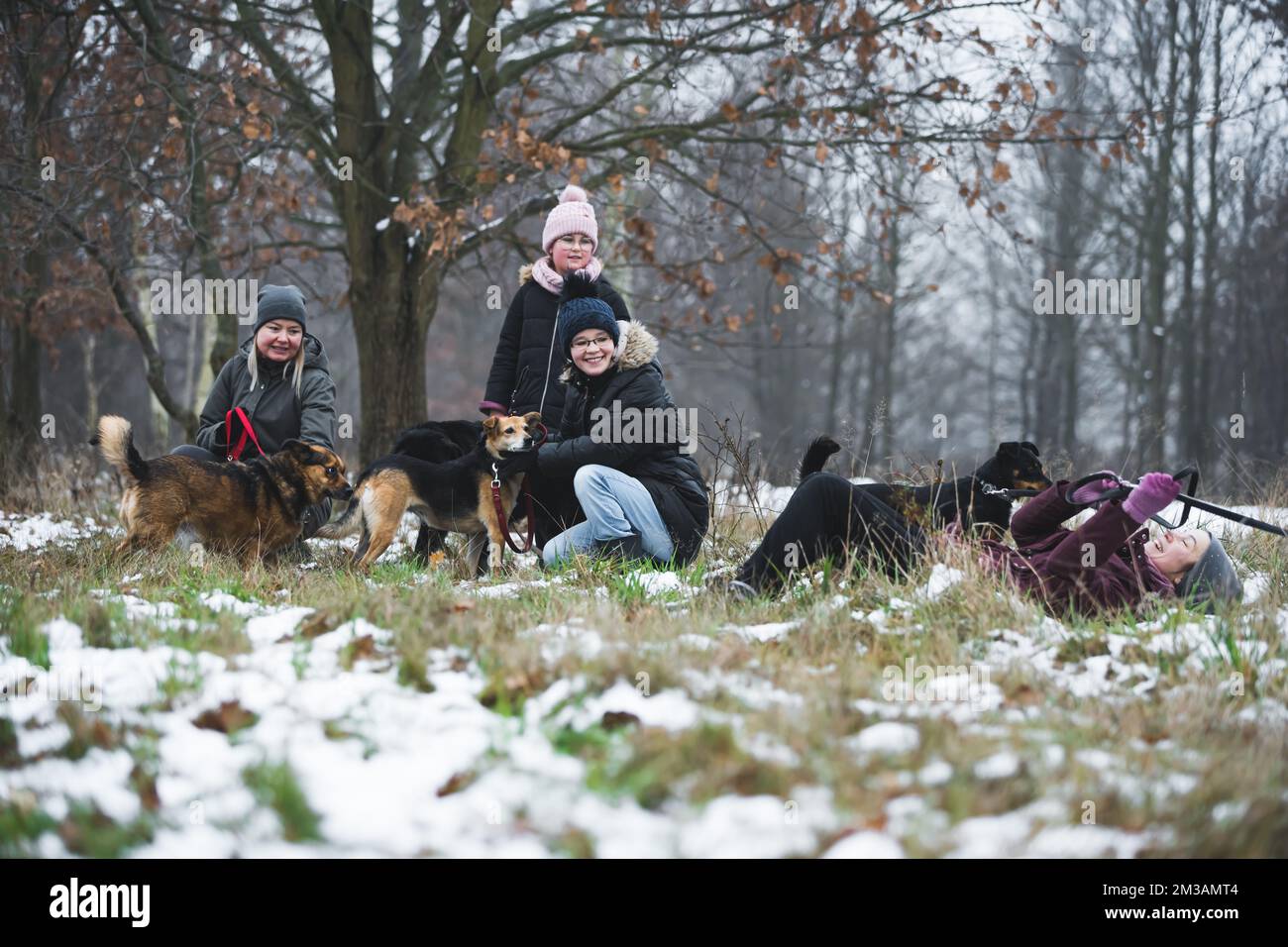 Charity work concept. Dog-lovers volunteering at private dog shelter ...