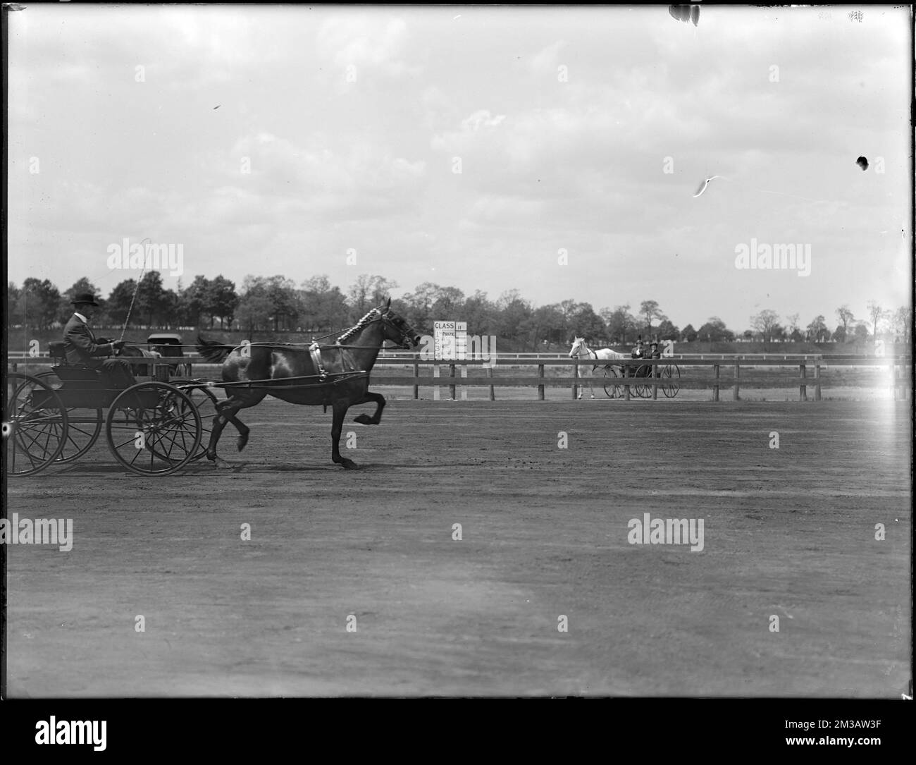 Horse in action , Horses, Carriages & coaches. Leon Abdalian Collection ...