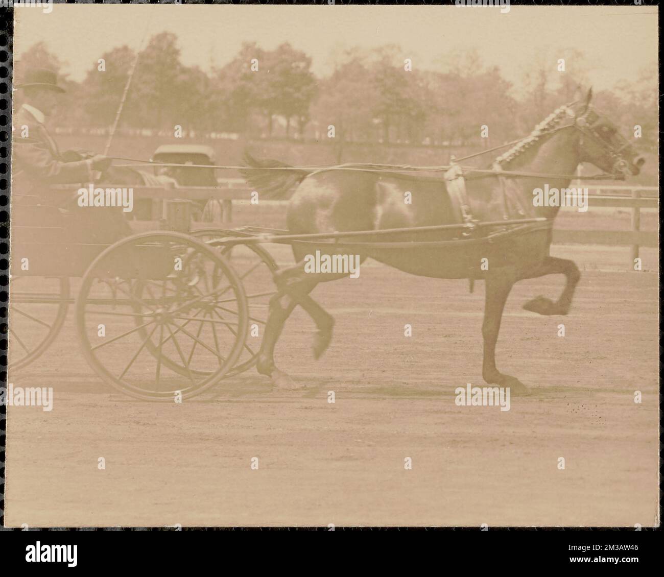 Horse in action , Horses, Carriages & coaches. Leon Abdalian Collection ...