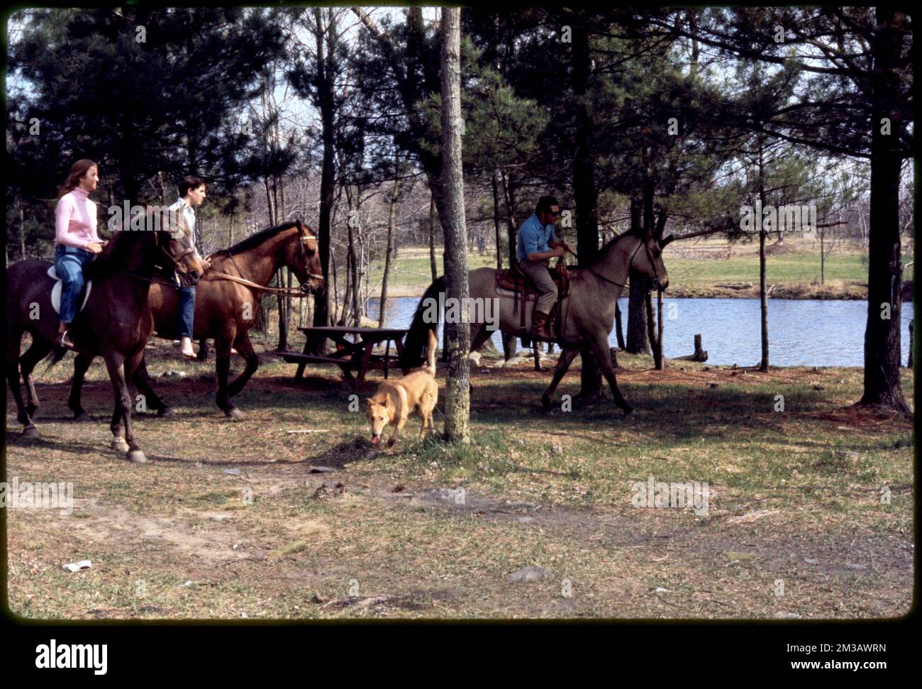 Horseback riders along riverside , Rivers, Horses, Horseback riding ...