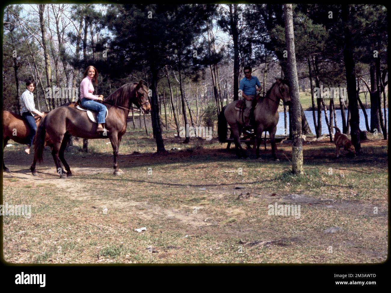 Horseback riders along riverside , Rivers, Horses, Horseback riding ...