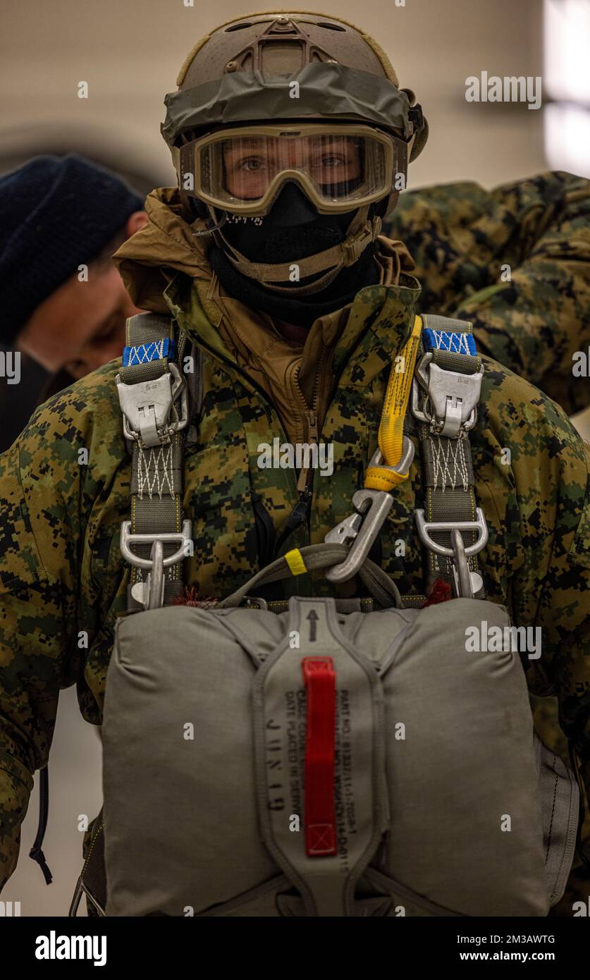 U.S. Marines with 2d Reconnaissance Battalion, 2d Marine Division ...