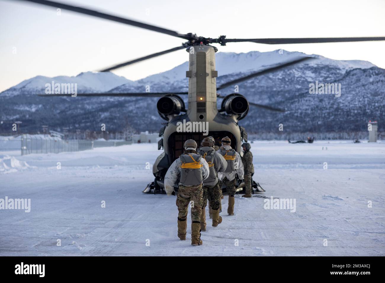 U.S. Marines with 2d Reconnaissance Battalion, 2d Marine Division ...