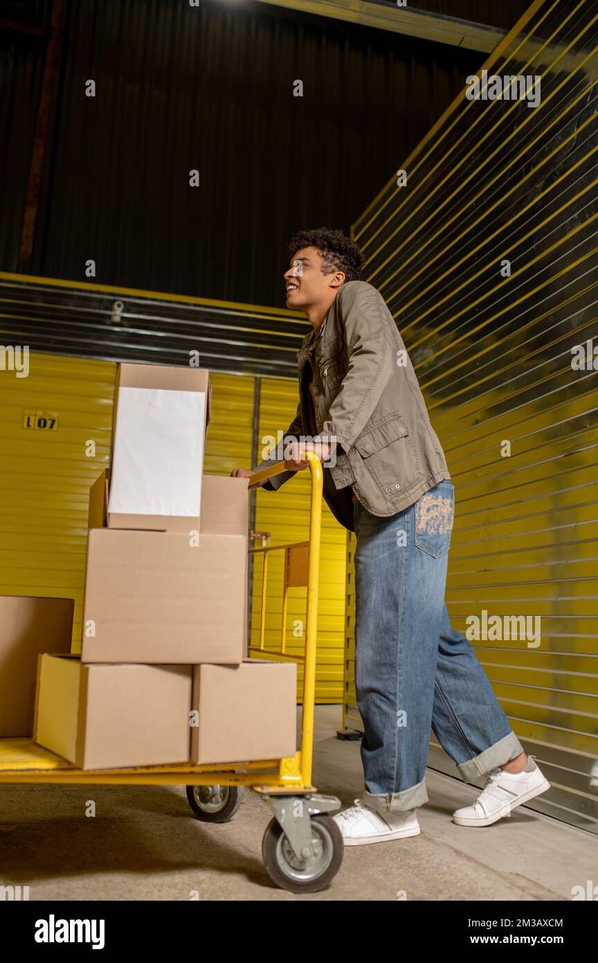 Warehouse worker carrying a loader with the boxes Stock Photo - Alamy