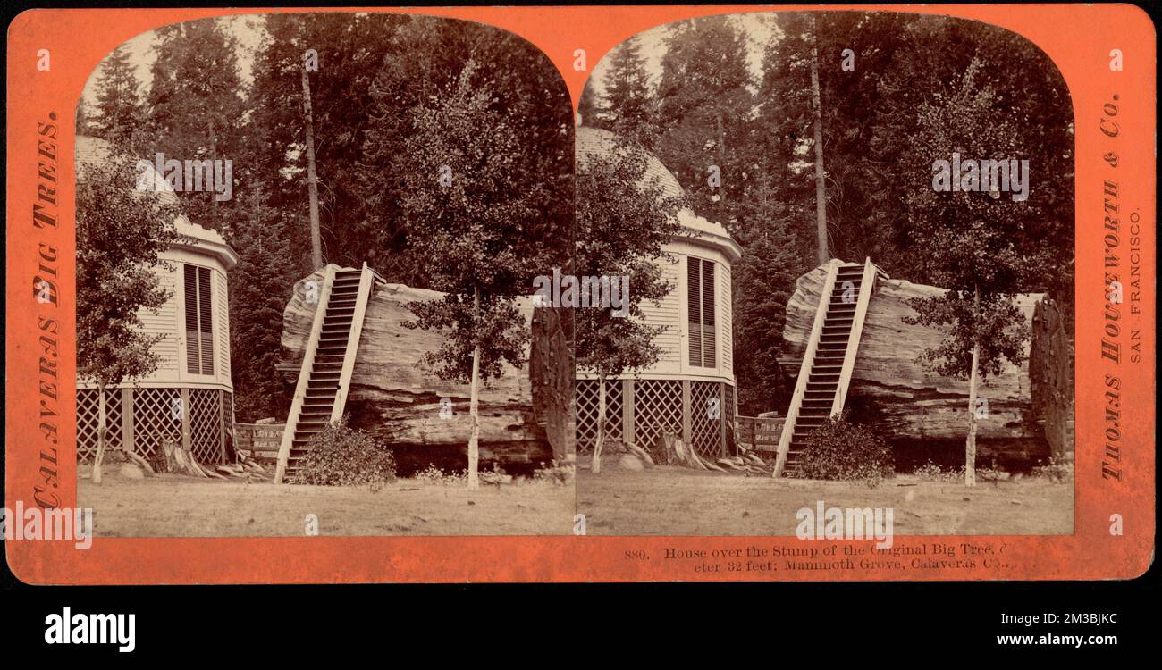 House over the Stump of the Original Big Tree d[?] eter 32 feet ...