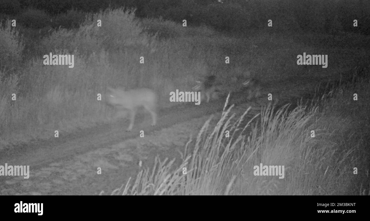 ATTENTION EDITORS - HAND OUT PICTURES - EDITORIAL USE WITH STORY ON NEW ...