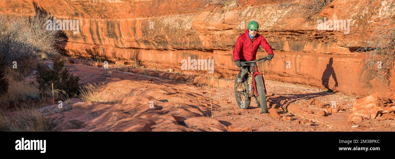 riding a fat mountain bike on a slickrock at the sandstone canyon ...