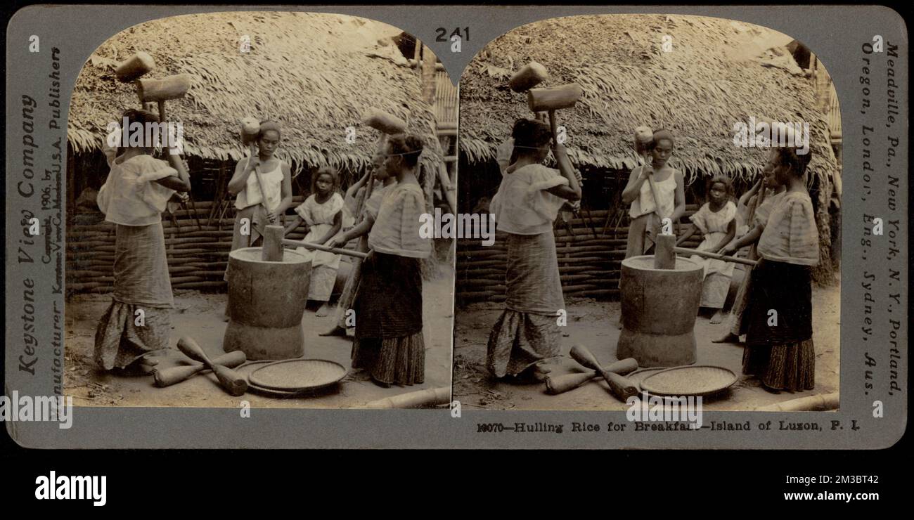 Hulling rice for breakfast, Island of Luzon, P.I. , Rice, Food ...