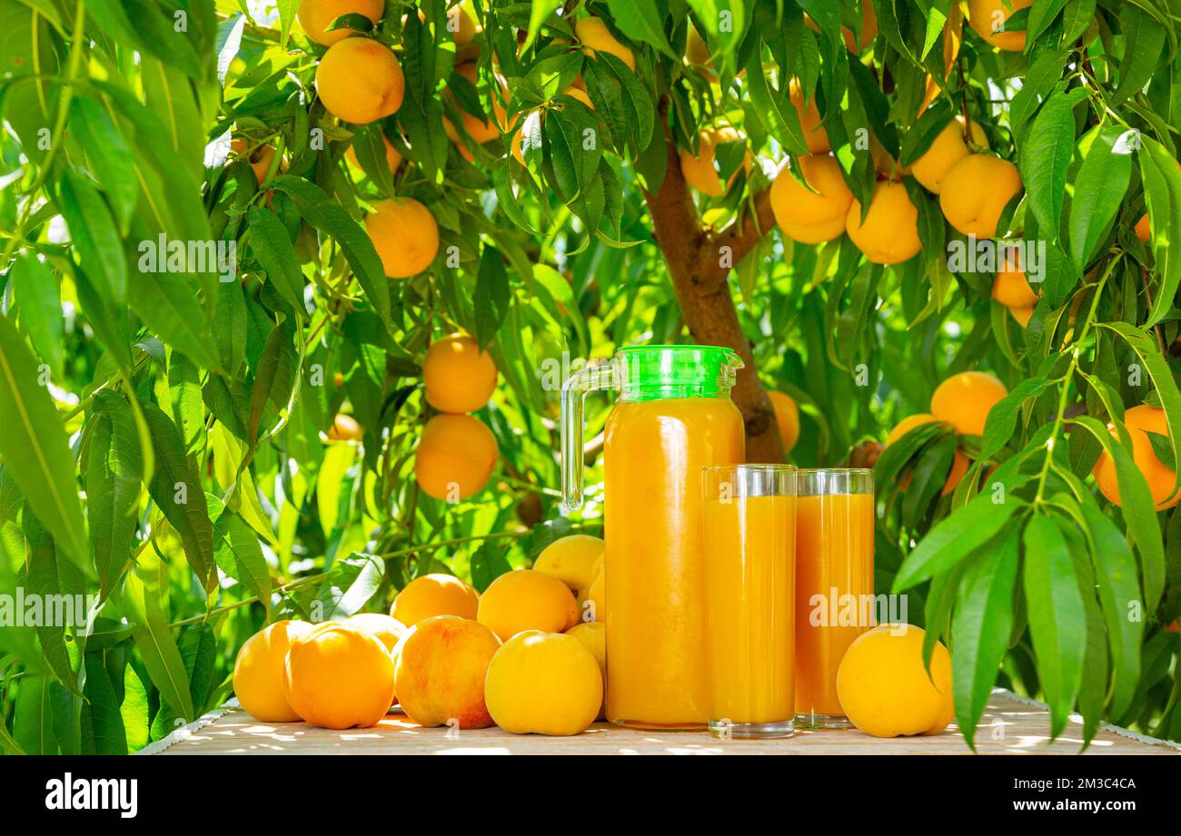 Orchard traditions hi-res stock photography and images - Alamy