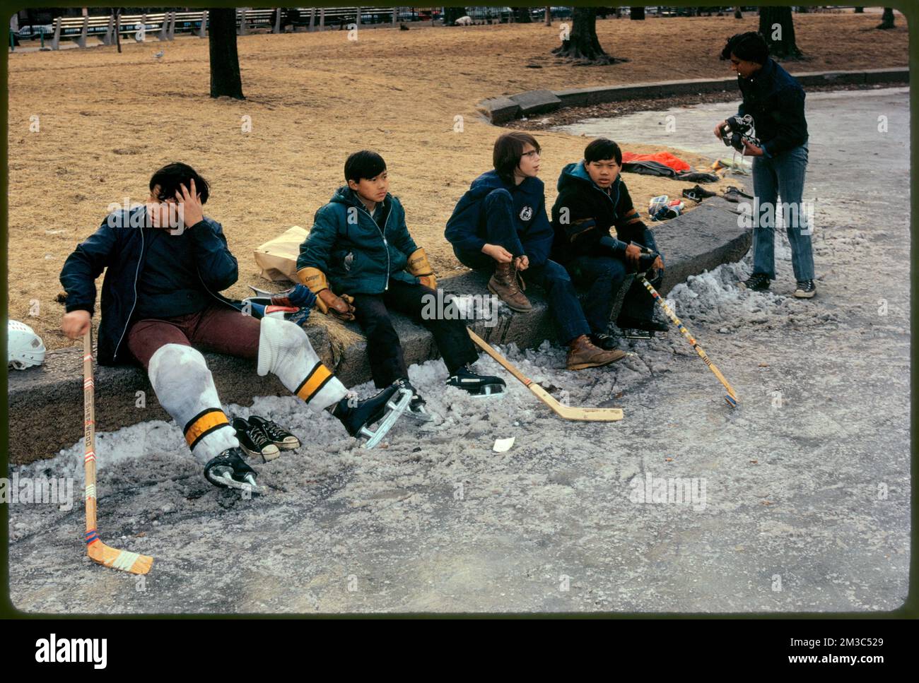 Ice skating inner city at Public Garden , Parks, Lakes & ponds, Ice ...