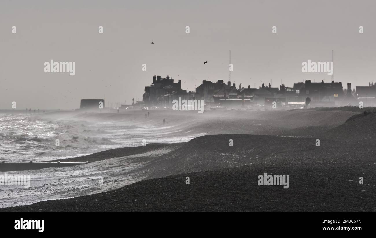 Wild day hi-res stock photography and images - Alamy