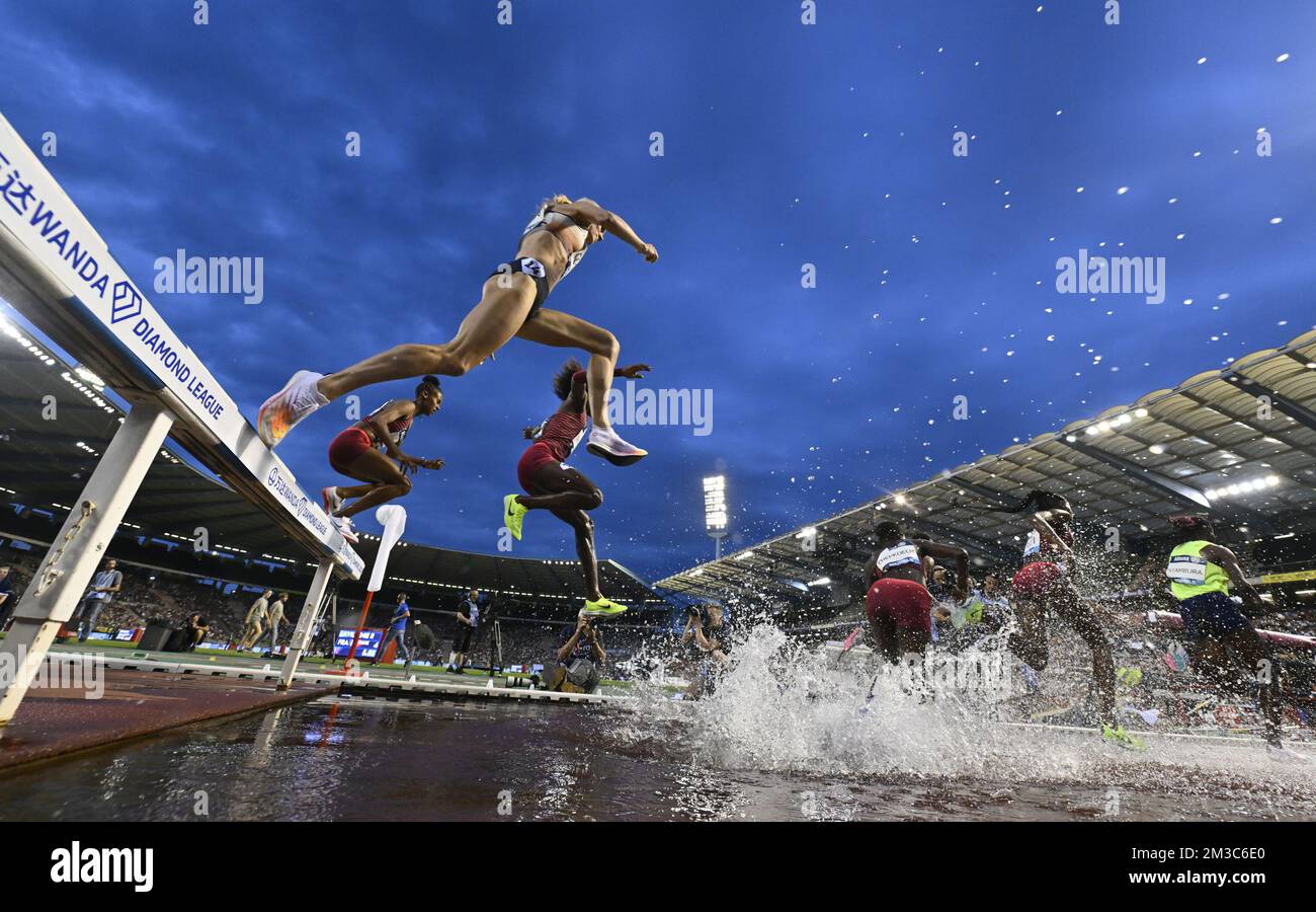 Illustration picture shows the women's 3000m steeplechase, at the 2022 ...