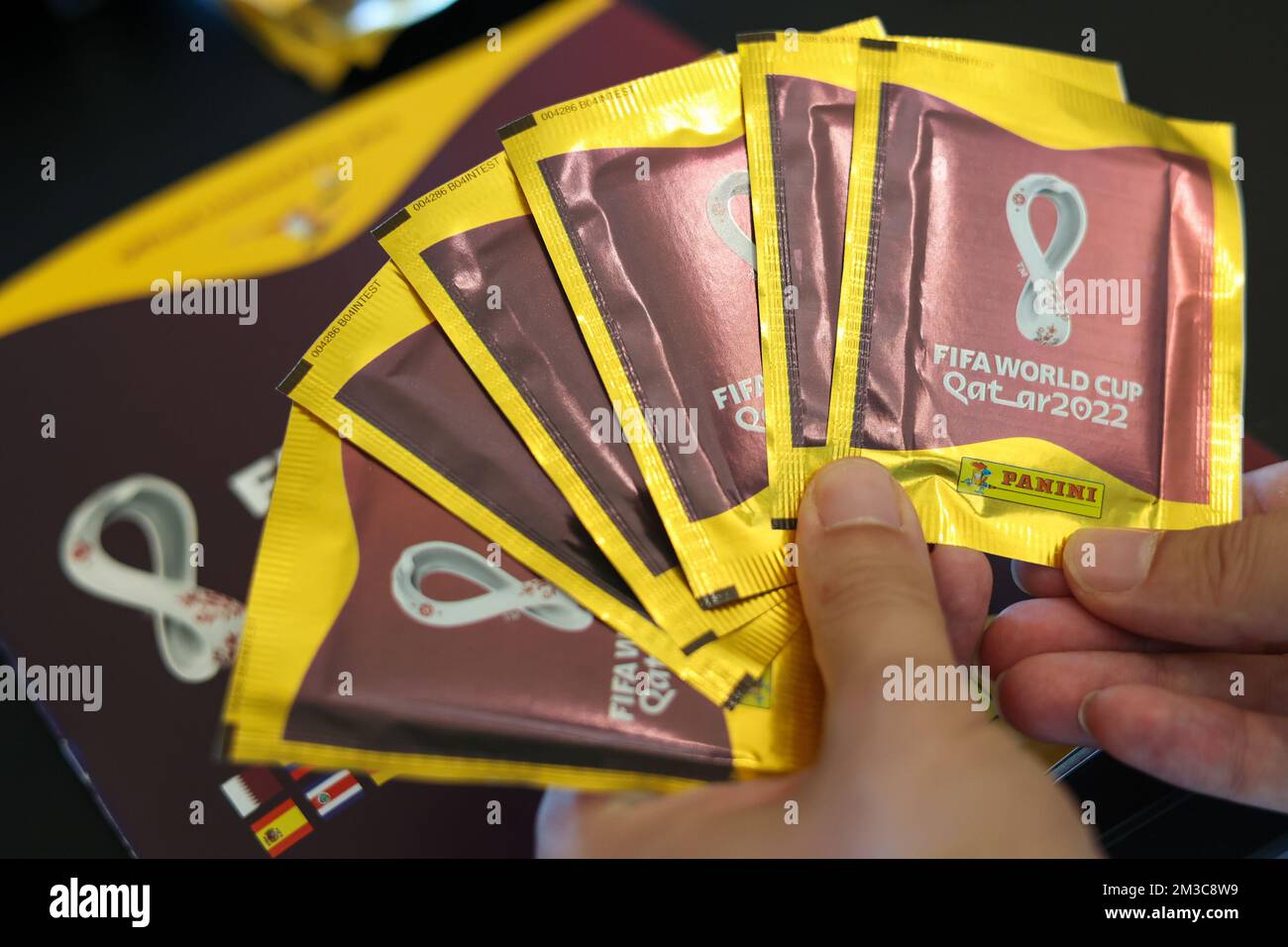 Illustration picture shows the presentation of the Panini sticker ...