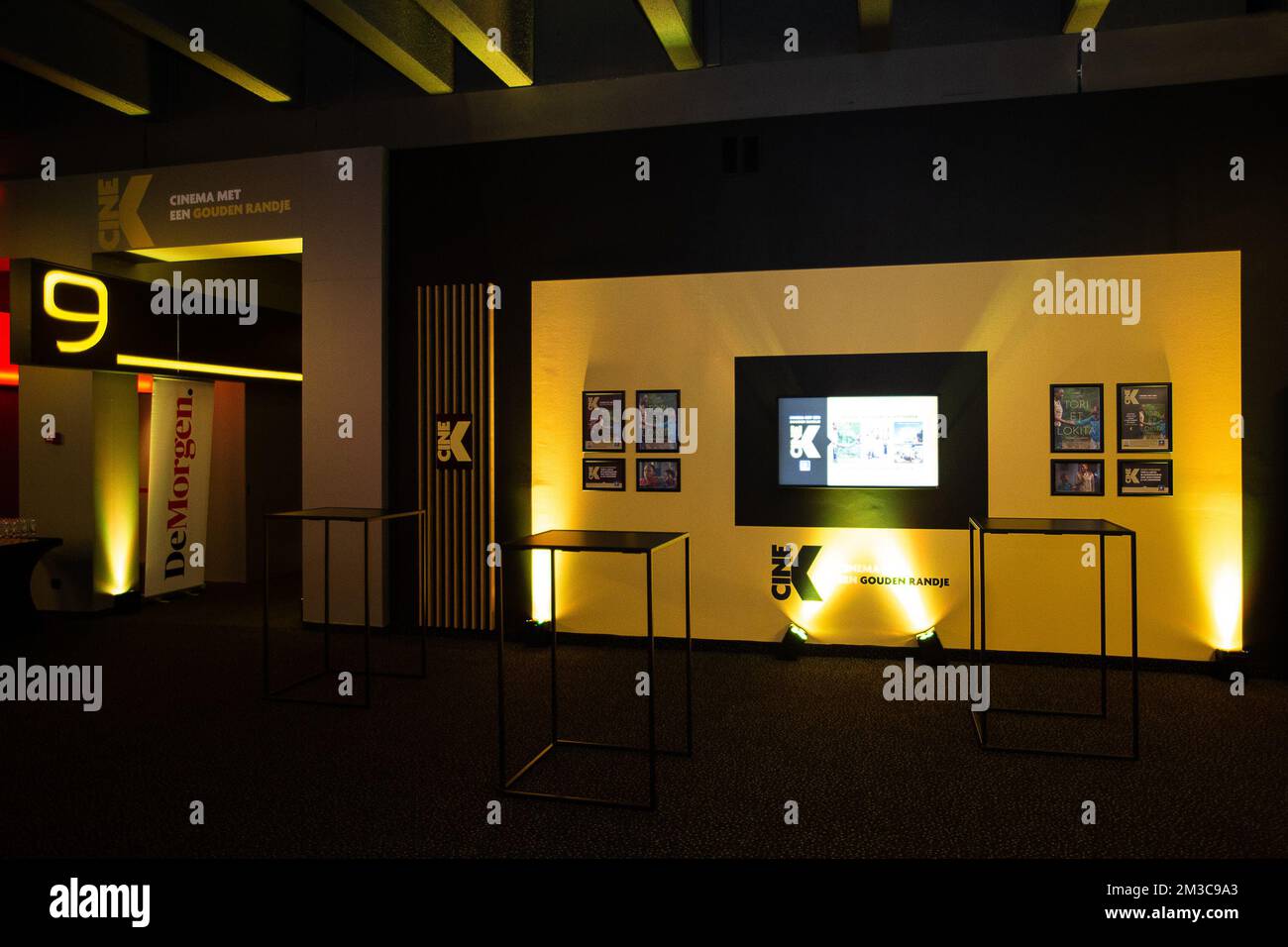 Illustration picture shows the avant-premiere of Belgian movie Tori et ...