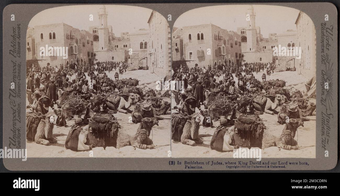 In Bethlehem of Judea, where King David and our Lord were born ...