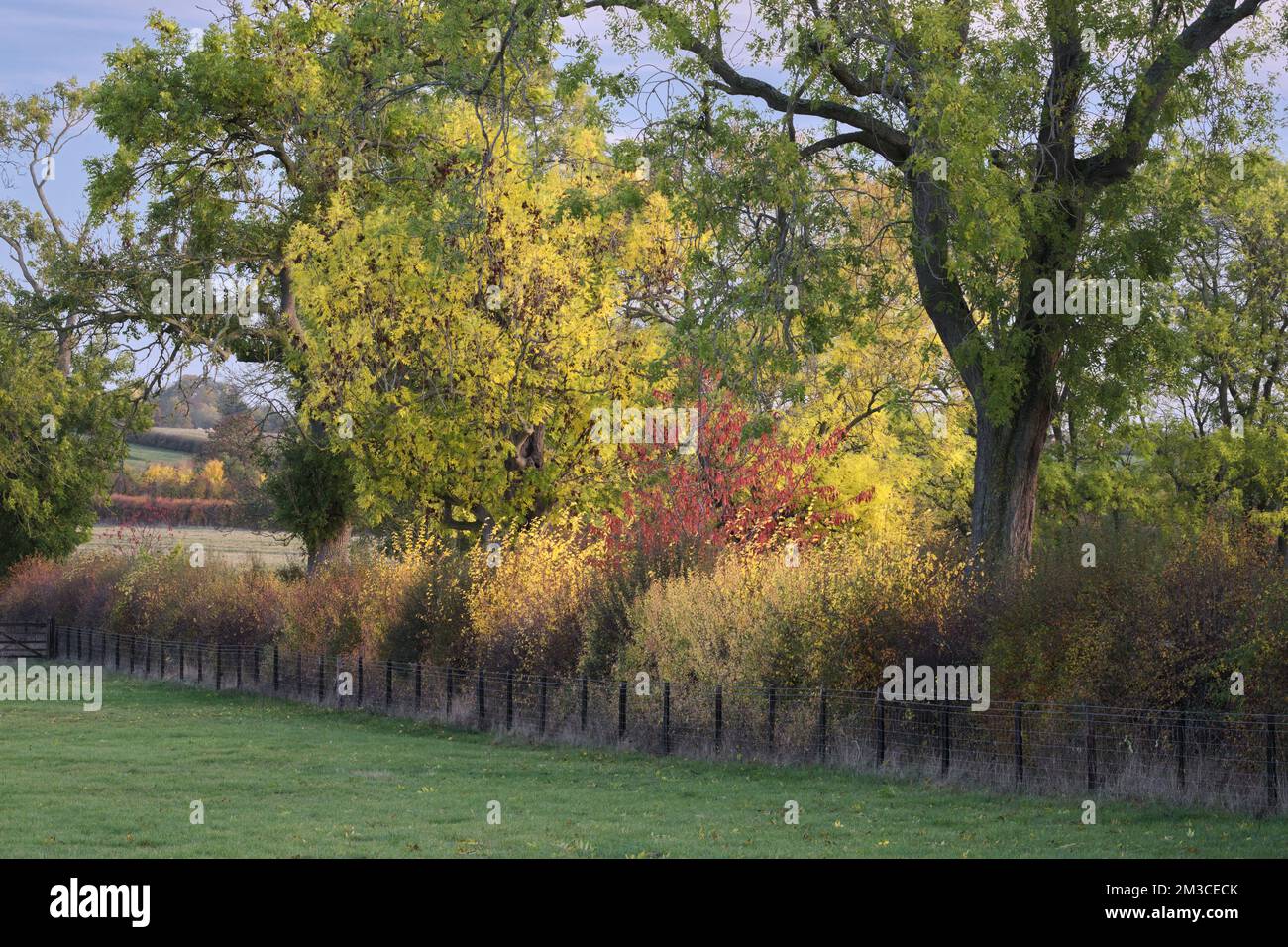 Fence colours hi-res stock photography and images - Alamy