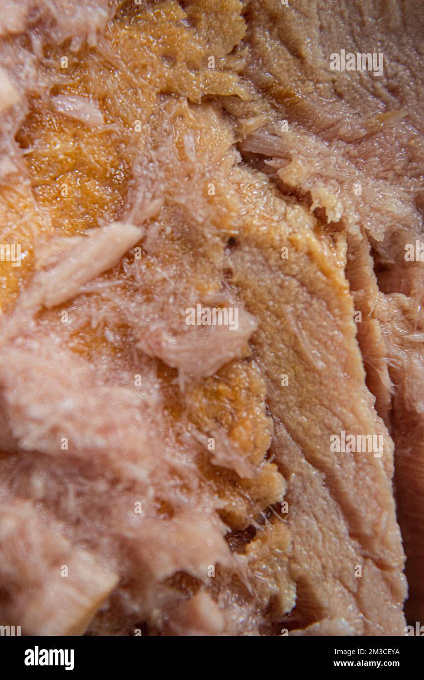 Pink tuna hi-res stock photography and images - Alamy