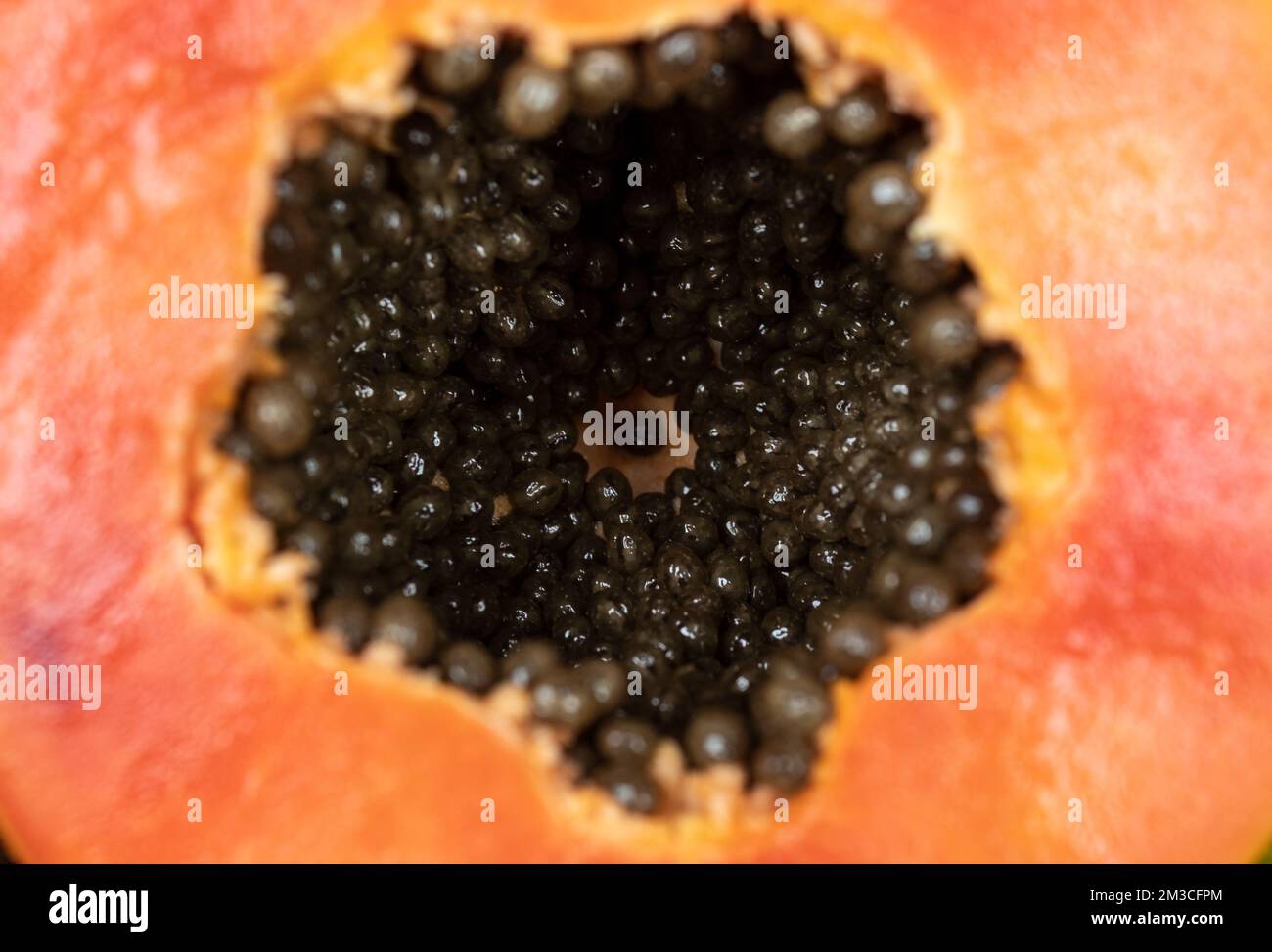 Macro photography to asliced orange fresh papaya with seeds inside ...