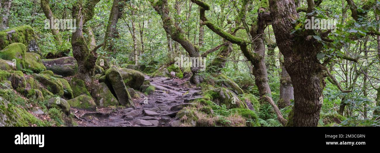 Padley Gorge Panorama Stock Photo - Alamy