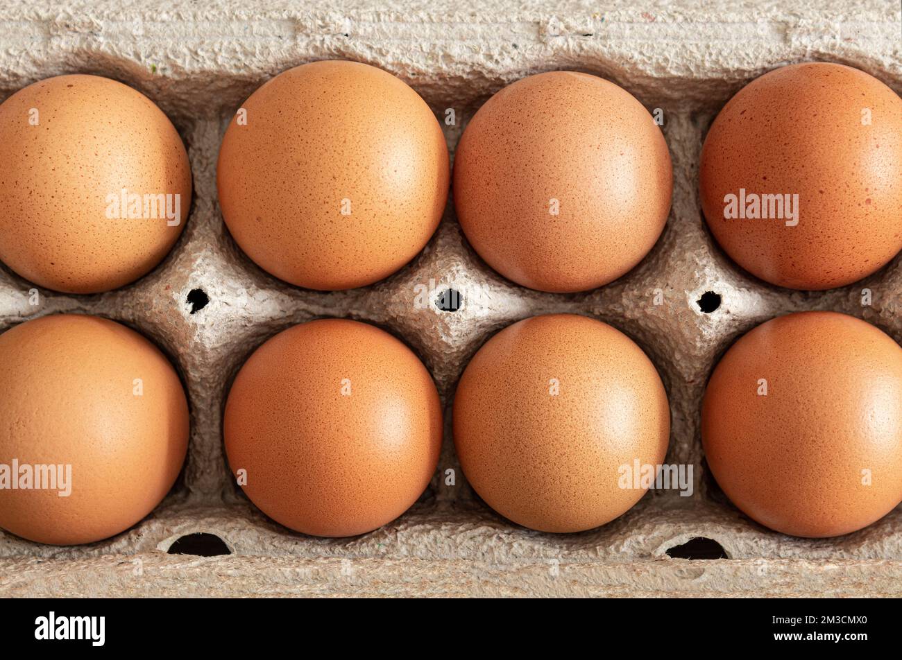 Closeup to an eight orange eggs into a brown egg box Stock Photo - Alamy