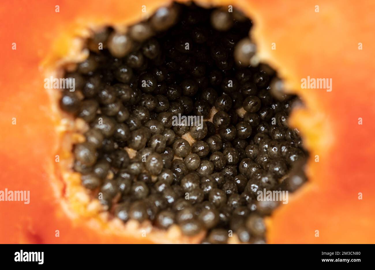 Macro photography to asliced orange fresh papaya with seeds inside ...