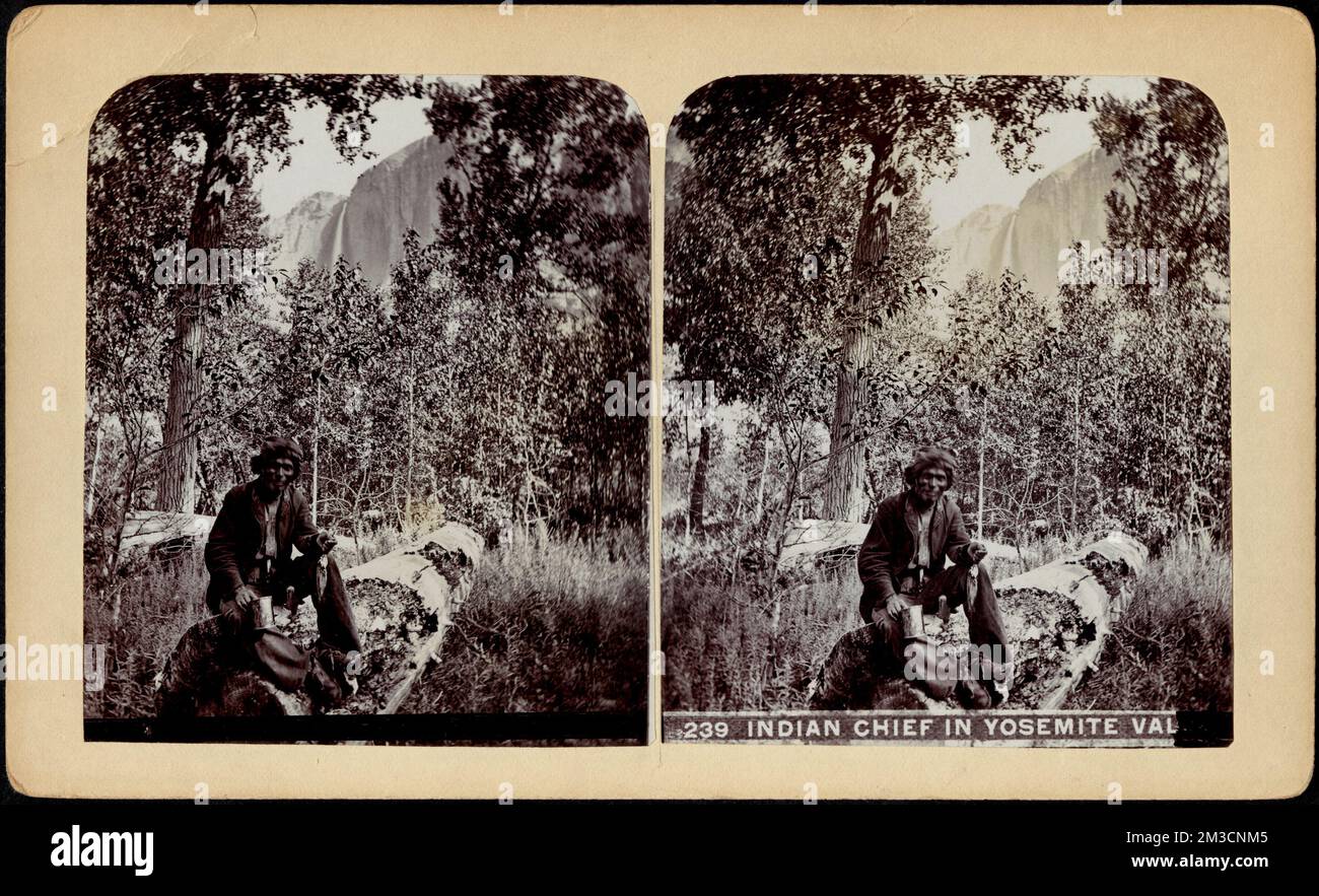 Indian chief in Yosemite Val[ley] , Tribal chiefs, Valleys, Indigenous ...