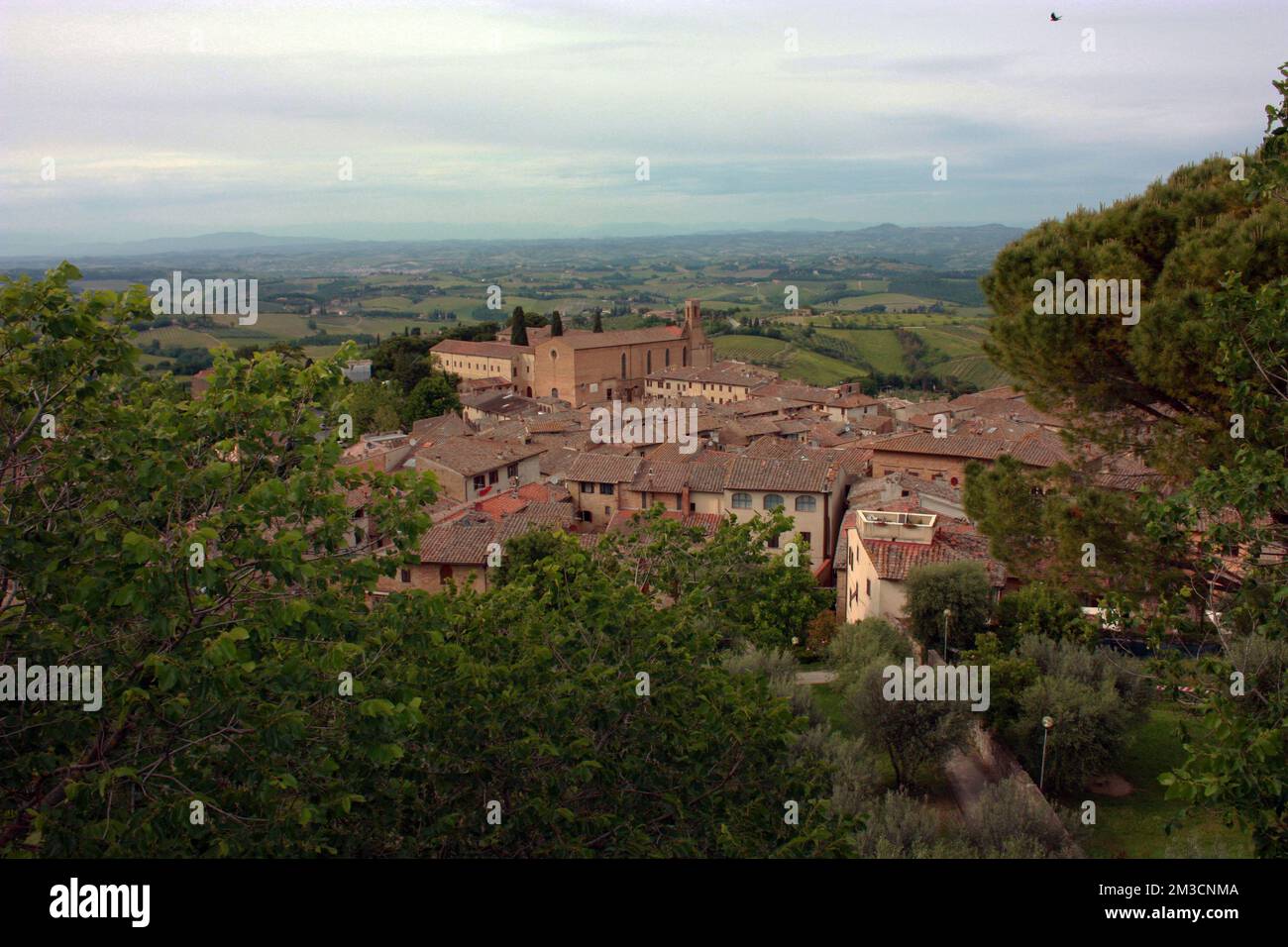 green landscape of tuscan hills of san gimignano in spring in italy ...