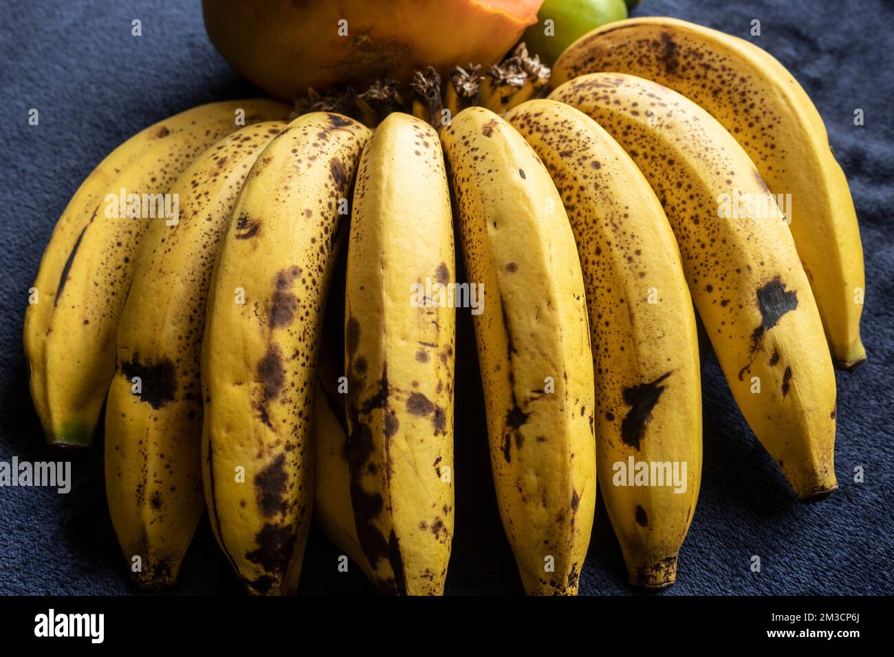 Closeup to a fresh yellow freckled banana cluster texture with blue ...