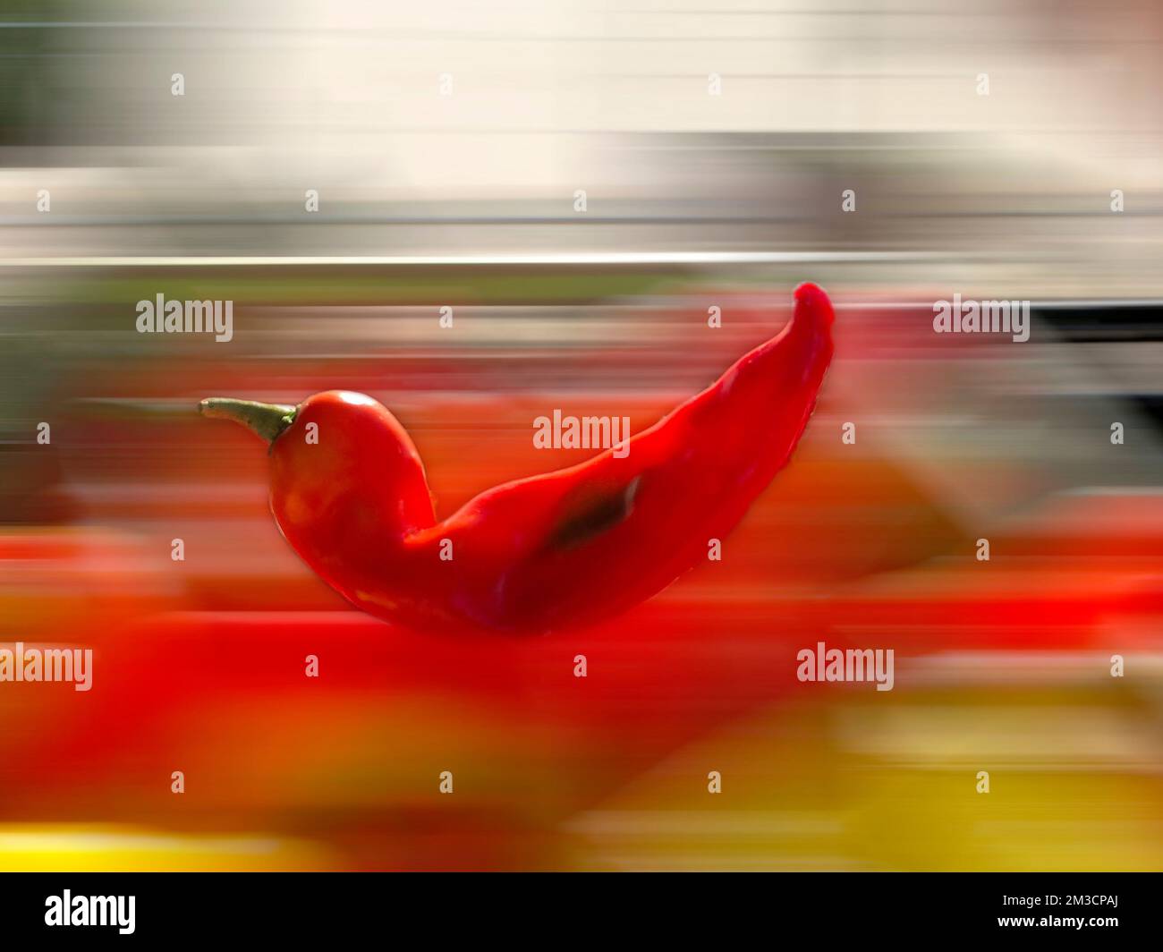 Sweet looking bird hi-res stock photography and images - Alamy