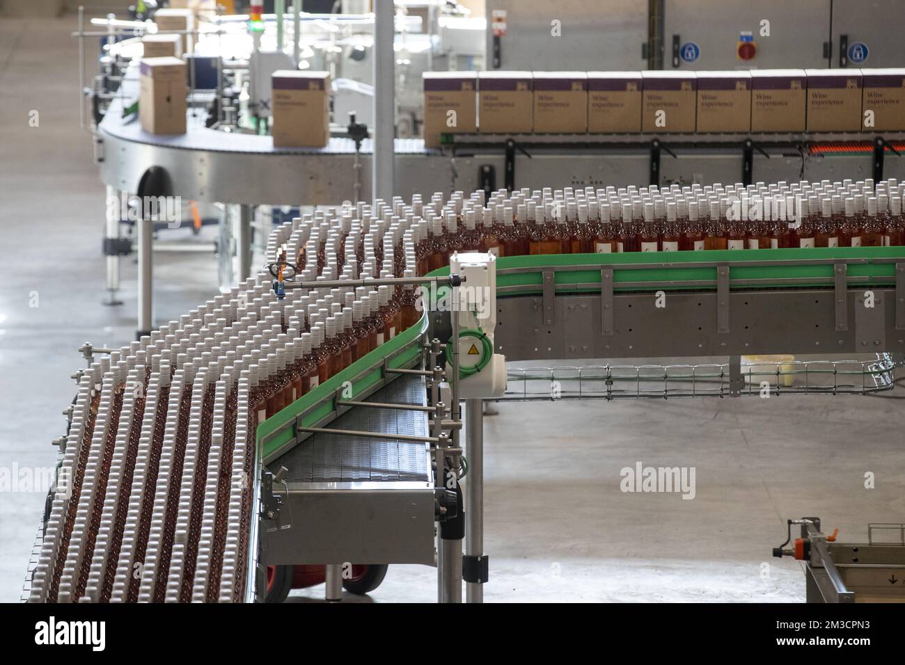 Illustration picture shows the opening of the new wine bottling plant ...