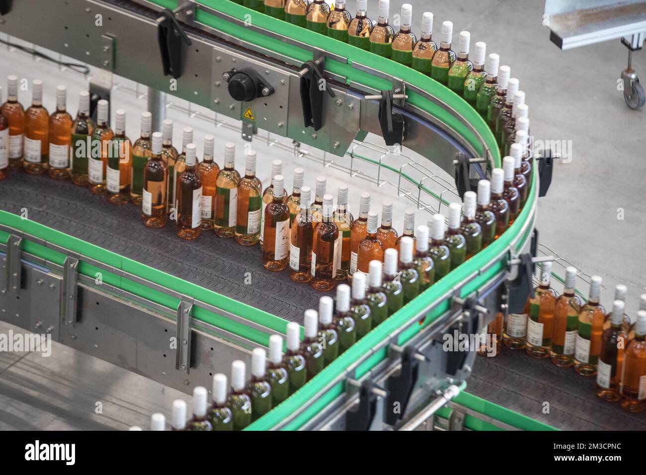 Illustration picture shows the opening of the new wine bottling plant ...