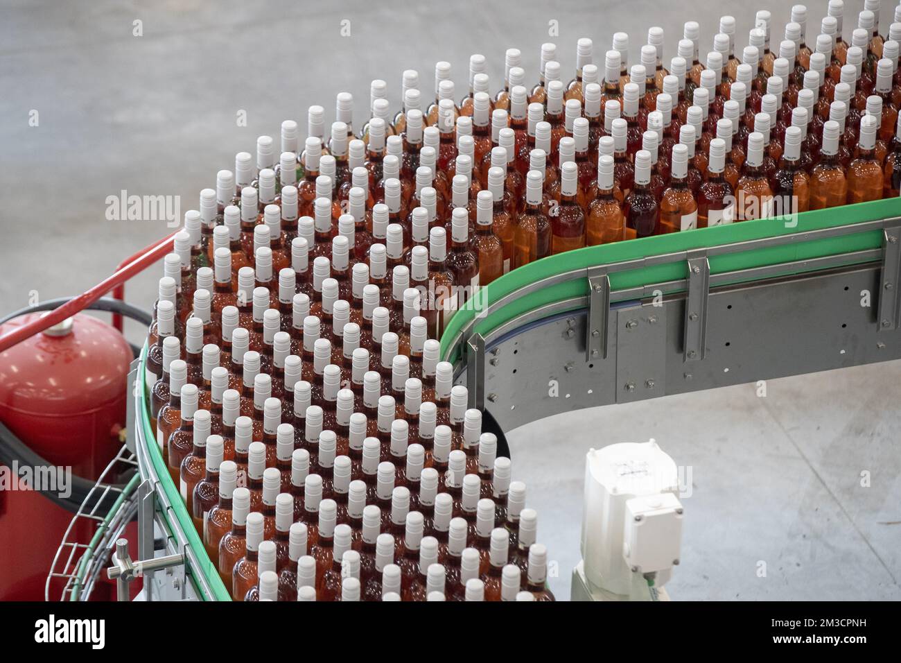 Illustration picture shows the opening of the new wine bottling plant ...