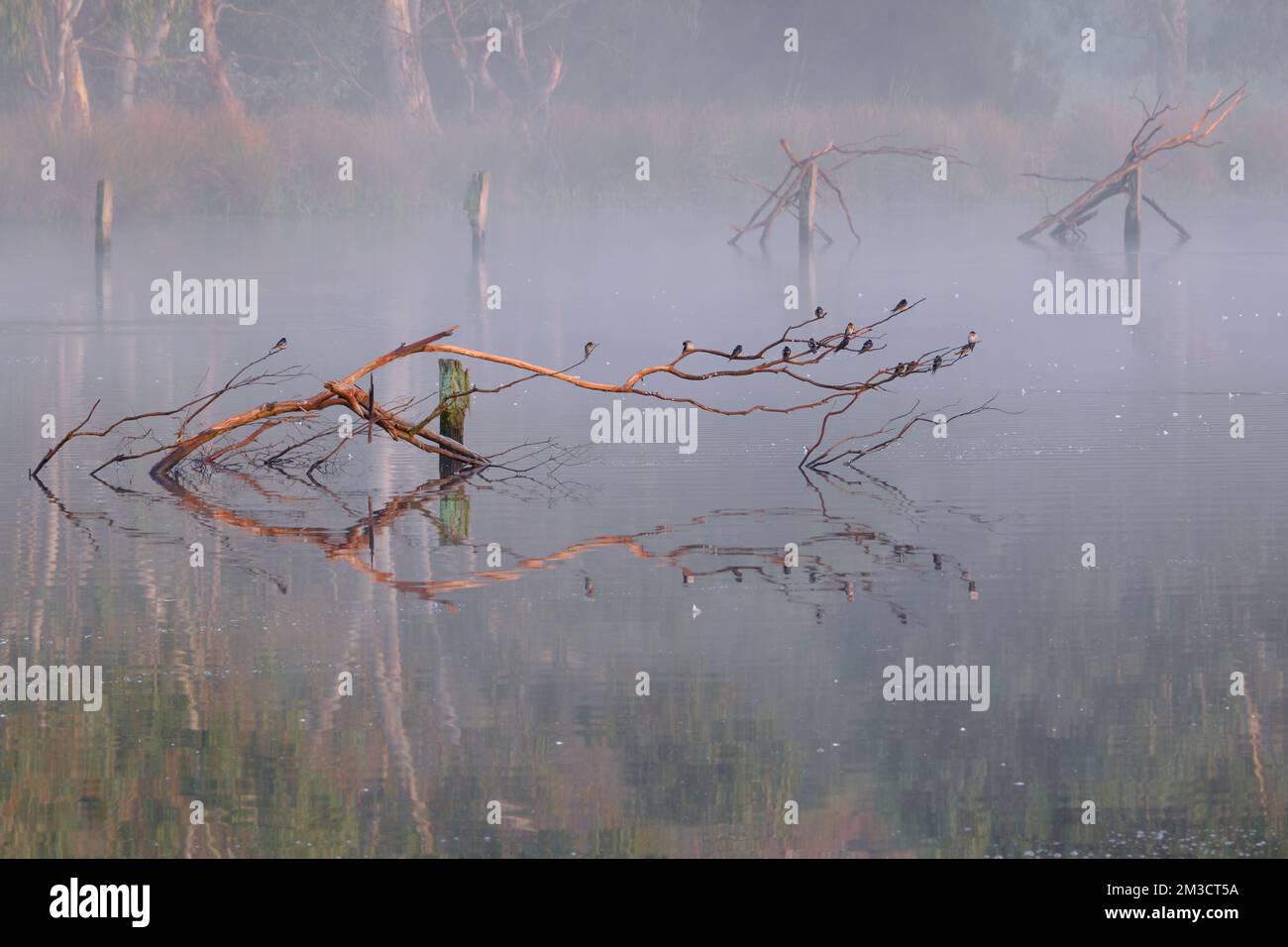 Welcome lake hi-res stock photography and images - Alamy