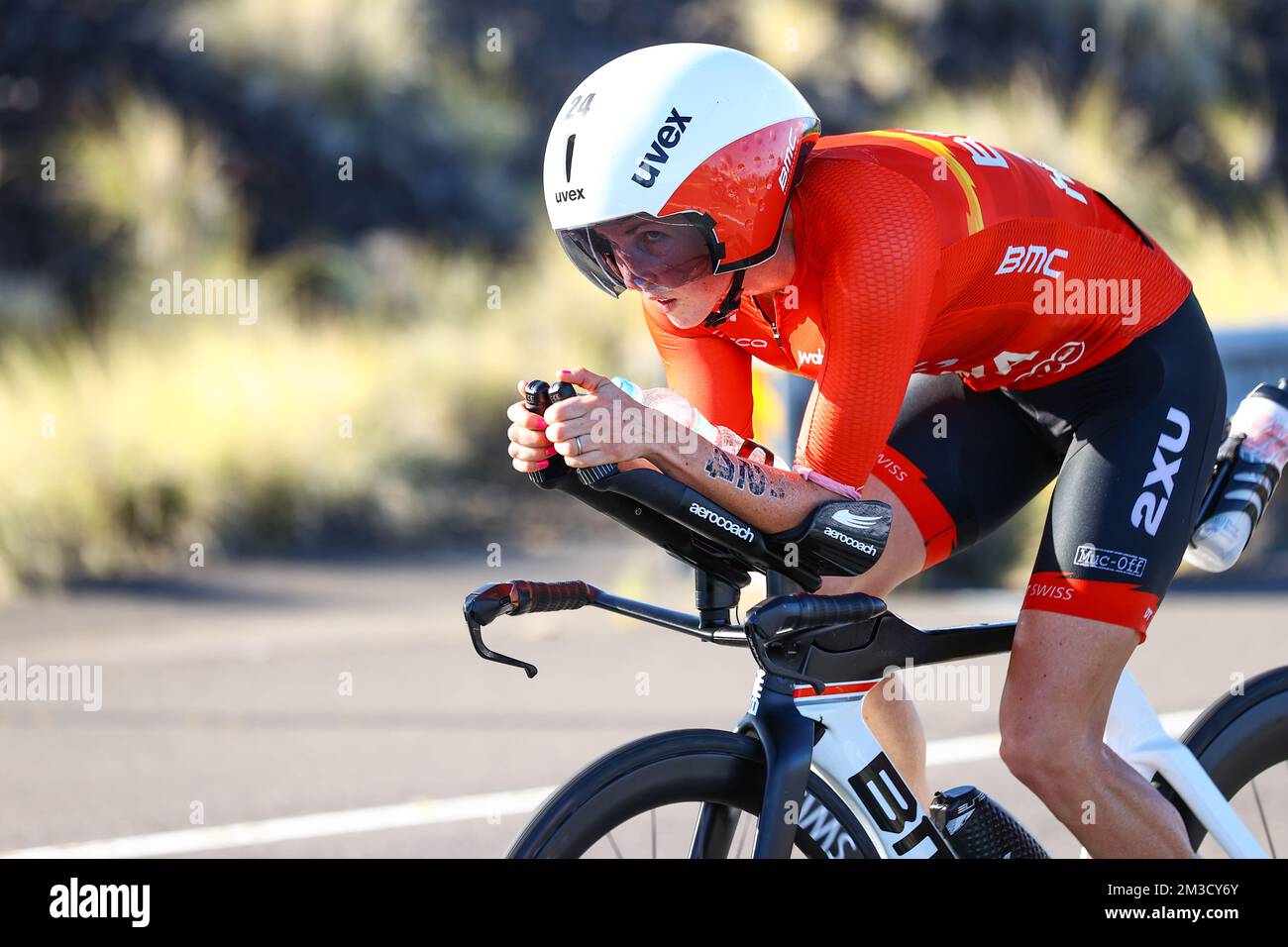 Sodaro hi-res stock photography and images - Alamy