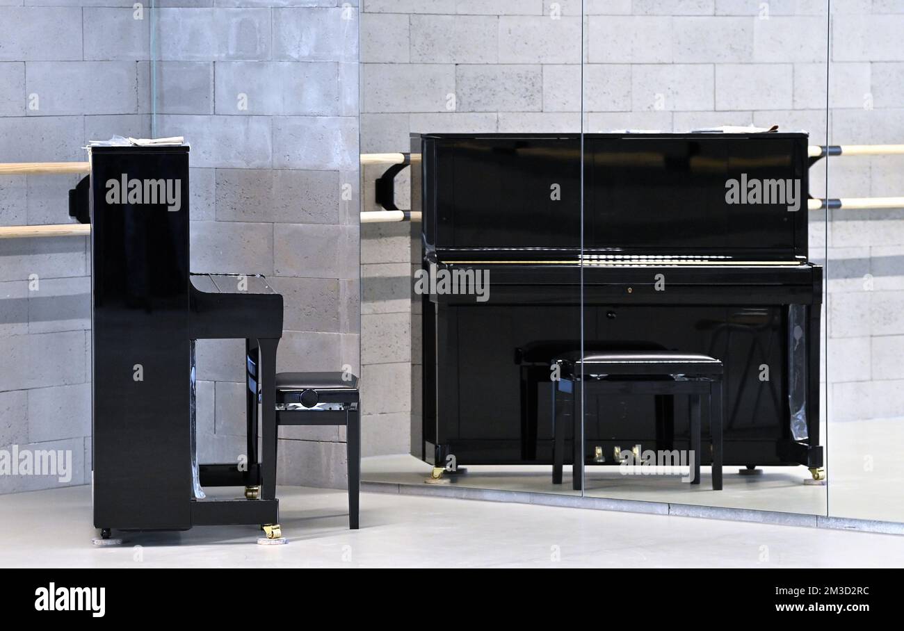 Illustration picture shows a press visit to the new Mosa Ballet School ...