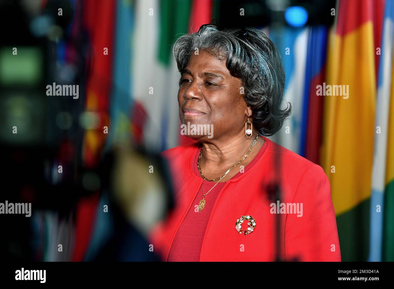 New York, USA. 14th Dec, 2022. United States ambassador to the Linda ...